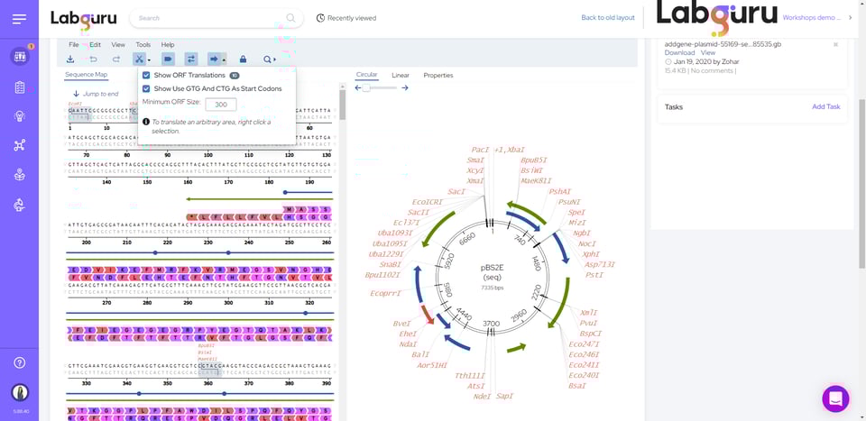 Take Gene Editing to the Next Level | Labguru DNA Viewer